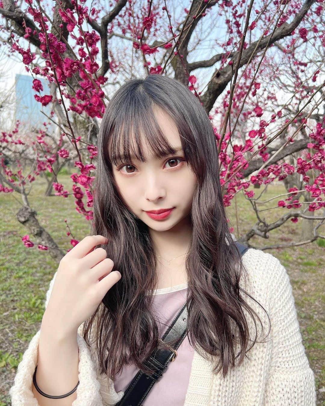 梅山恋和さんのインスタグラム写真 - (梅山恋和Instagram)「 ̈♥ . . . 紅色も良きですね〜♥️ 白梅と紅梅どっちが好き ...