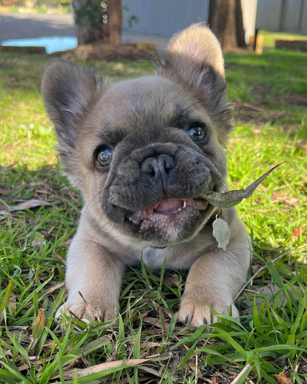 Dana Raeさんのインスタグラム写真 - (Dana RaeInstagram)「My new @FashionNova outfit ...