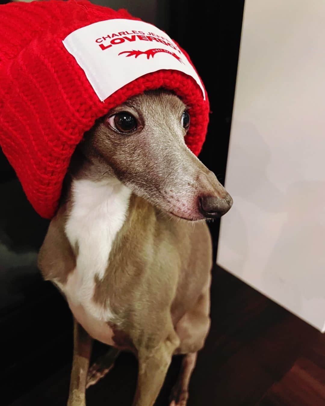 aespaさんのインスタグラム写真 - (aespaInstagram)「『aespa JAPAN PREMIUM SHOWCASE 2022 ...