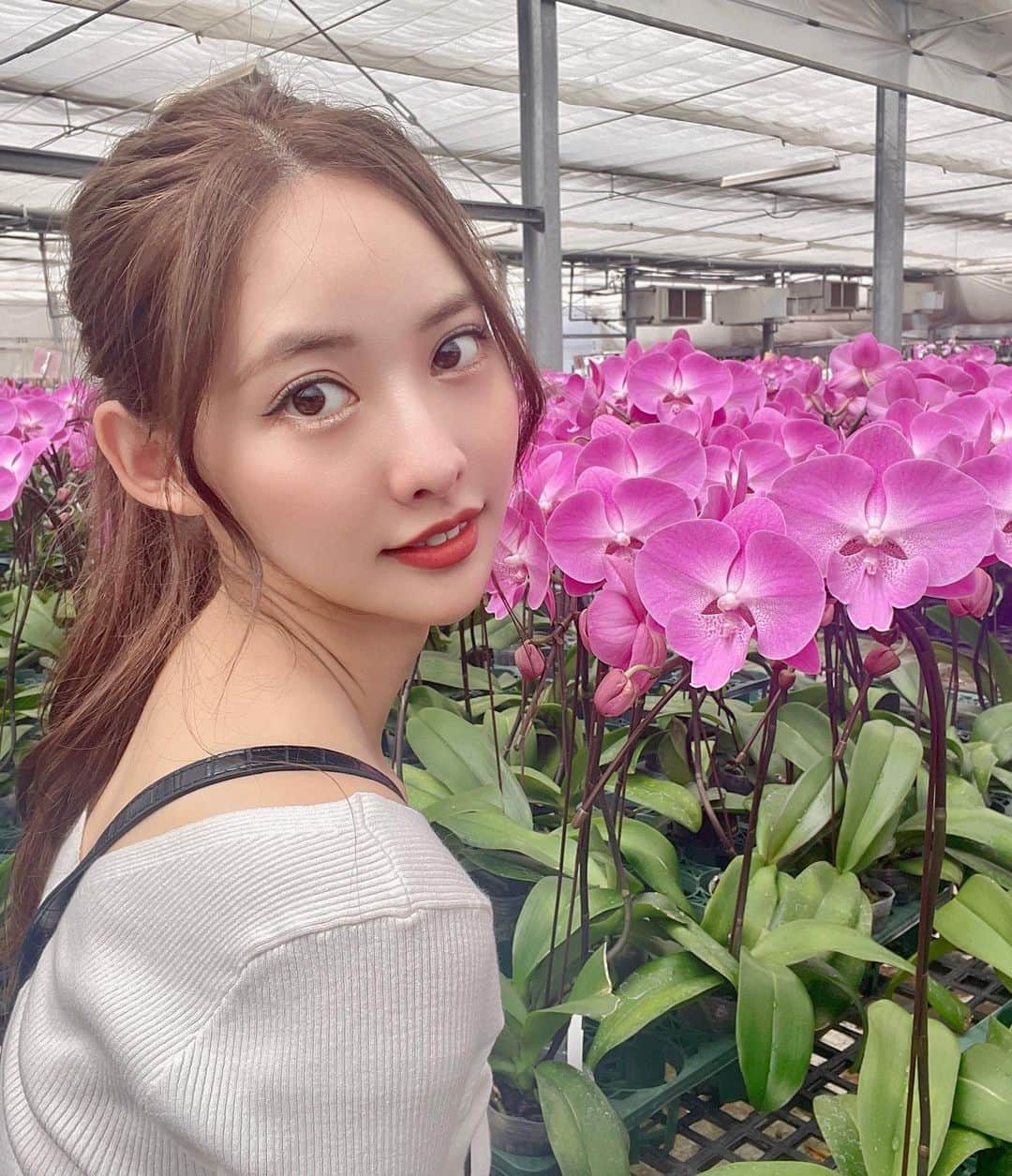 あのんさんのインスタグラム写真 - (あのんInstagram)「⁡ラブストックアプリ内で販売している椎名洋ラン園にお邪魔してきました‎ ‎ ...