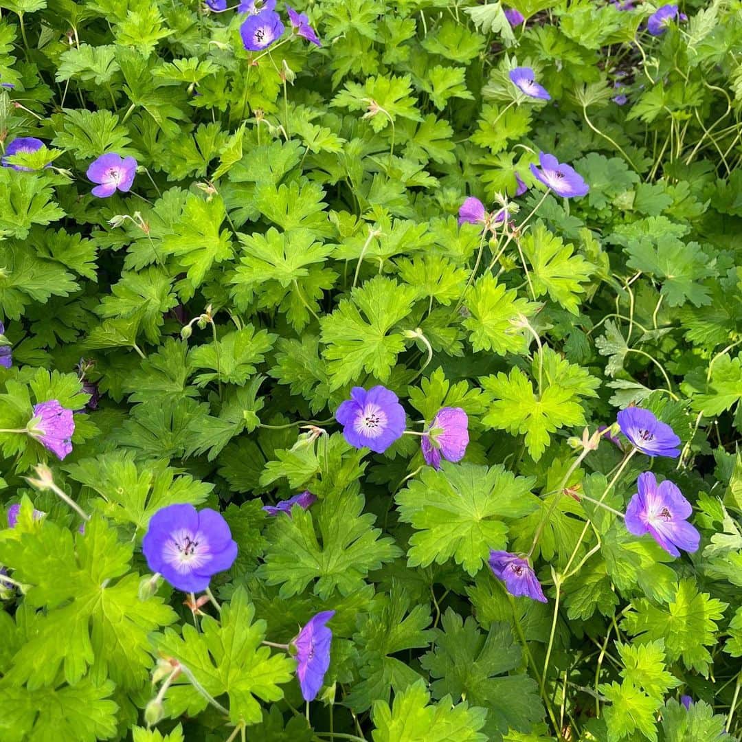 kokiさんのインスタグラム写真 - (kokiInstagram)「Moments in London 📸🥰」10月2日 7時42分 - koki