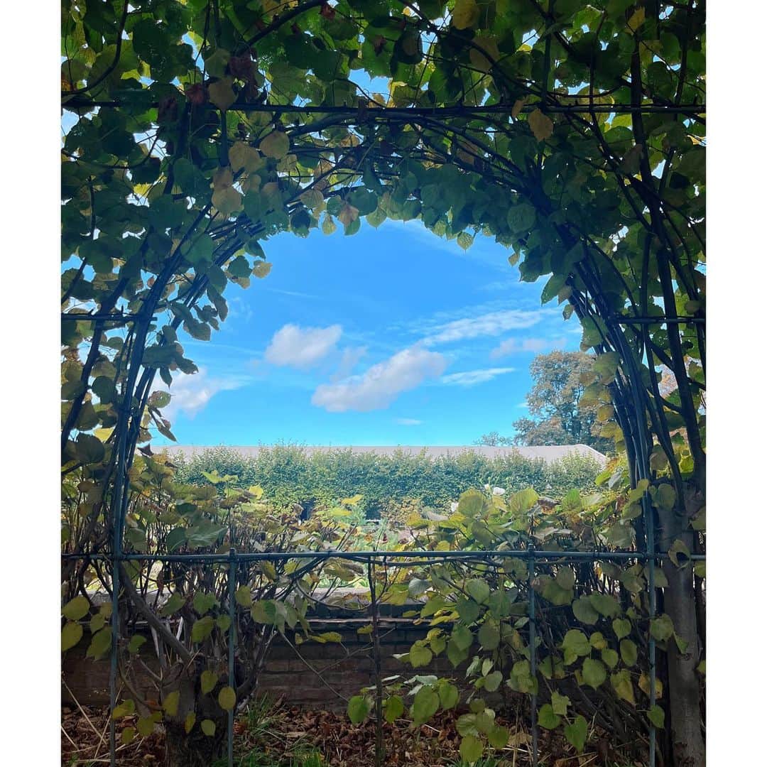 kokiさんのインスタグラム写真 - (kokiInstagram)「Moments in London 📸🥰」10月2日 7時42分 - koki