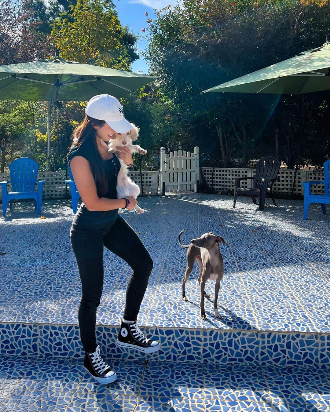 Azusaさんのインスタグラム写真 - (AzusaInstagram)「愛犬たちに癒される休日🥰 犬友達のみんなもいつも私の競技を応援して ...