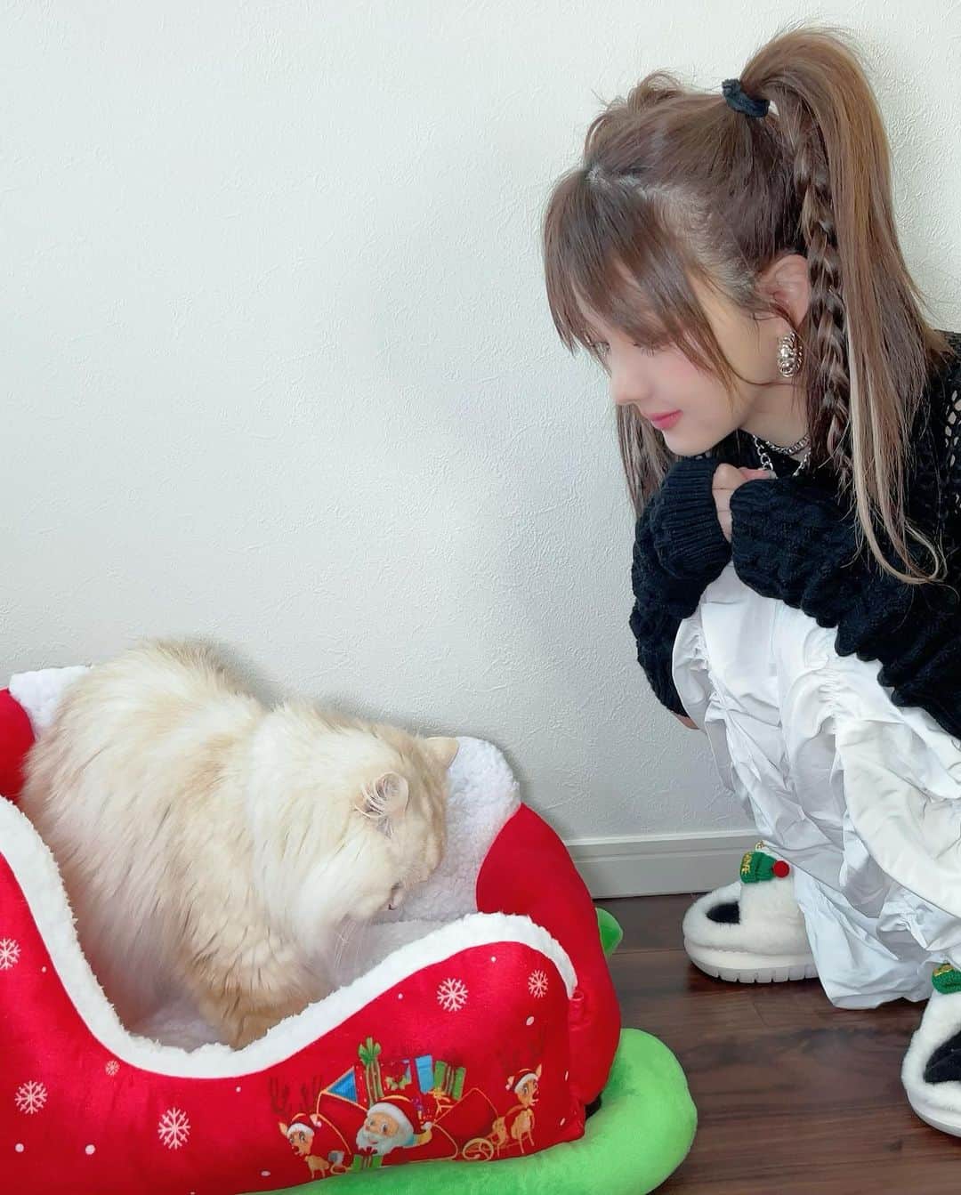 田中れいなさんのインスタグラム写真 - (田中れいなInstagram)「. お気に入りアイテム いっきに紹介しまーす🤍🫶🏻 シンバとジャック ...