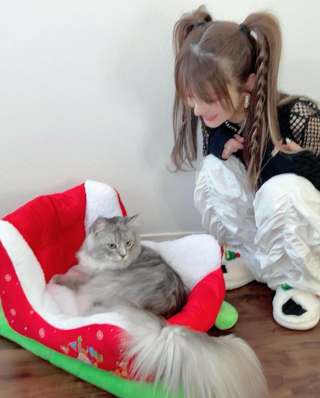 田中れいなさんのインスタグラム写真 - (田中れいなInstagram)「. お気に入りアイテム いっきに紹介しまーす🤍🫶🏻 シンバとジャック ...