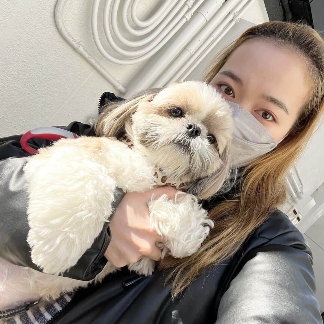 圭叶（KEYKA）さんのインスタグラム写真 - (圭叶（KEYKA）Instagram)「🐶2023💛 _____________ 2023年私の相棒との初のツーショ 🏻 やっぱりどうしても ...
