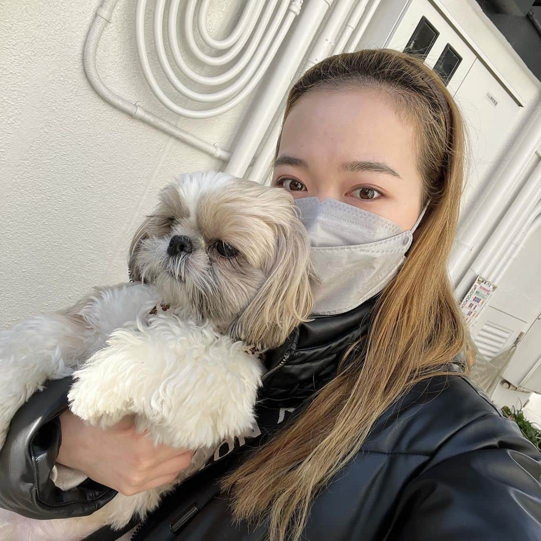 圭叶（KEYKA）さんのインスタグラム写真 - (圭叶（KEYKA）Instagram)「🐶2023💛 _____________ 2023年私の相棒との初のツーショ 🏻 やっぱりどうしても ...
