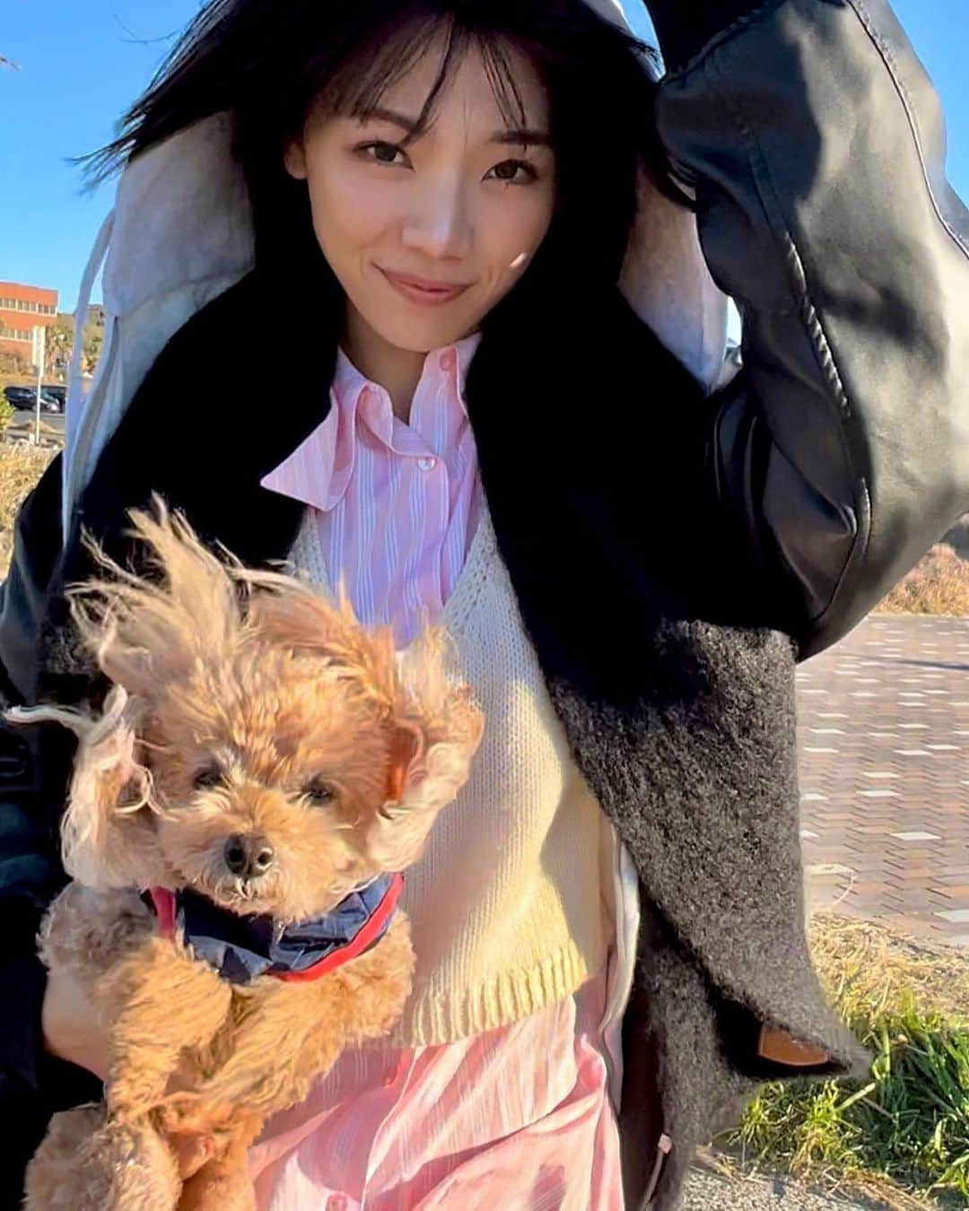 大川成美さんのインスタグラム写真 - (大川成美Instagram)「毎日ココア🐶 離れず一緒だったから、寂しいな。 ． #ココすけ」1月6日 ...