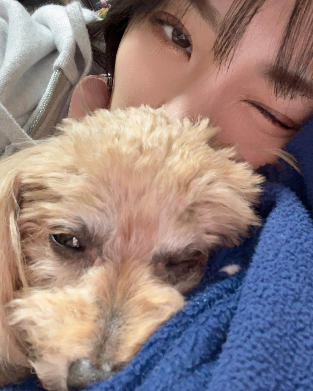 大川成美さんのインスタグラム写真 - (大川成美Instagram)「毎日ココア🐶 離れず一緒だったから、寂しいな。 ． #ココすけ」1月6日 ...