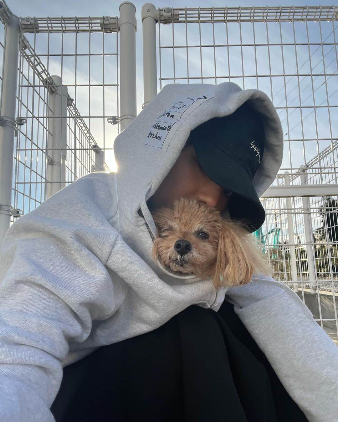 大川成美さんのインスタグラム写真 - (大川成美Instagram)「毎日ココア🐶 離れず一緒だったから、寂しいな。 ． #ココすけ」1月6日 ...