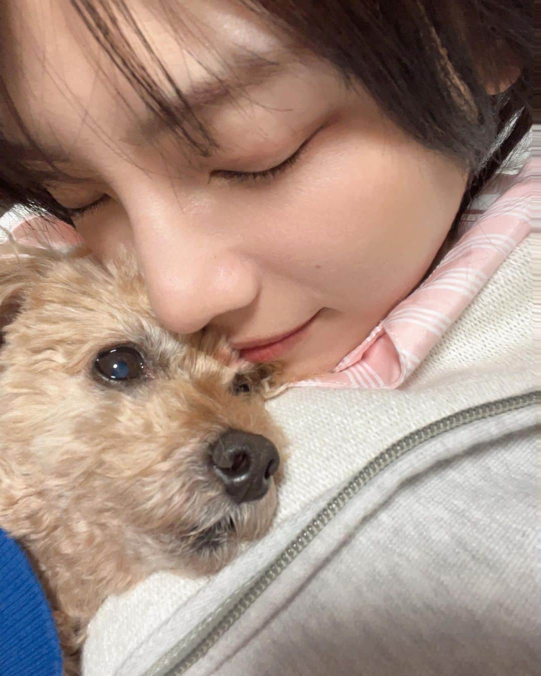 大川成美さんのインスタグラム写真 - (大川成美Instagram)「毎日ココア🐶 離れず一緒だったから、寂しいな。 ． #ココすけ」1月6日 ...