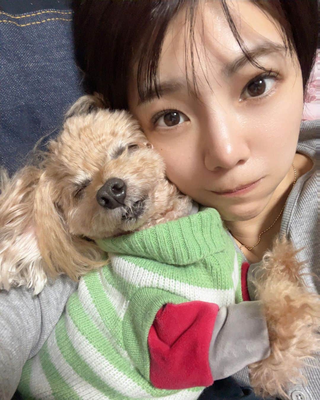 大川成美さんのインスタグラム写真 - (大川成美Instagram)「毎日ココア🐶 離れず一緒だったから、寂しいな。 ． #ココすけ」1月6日 ...