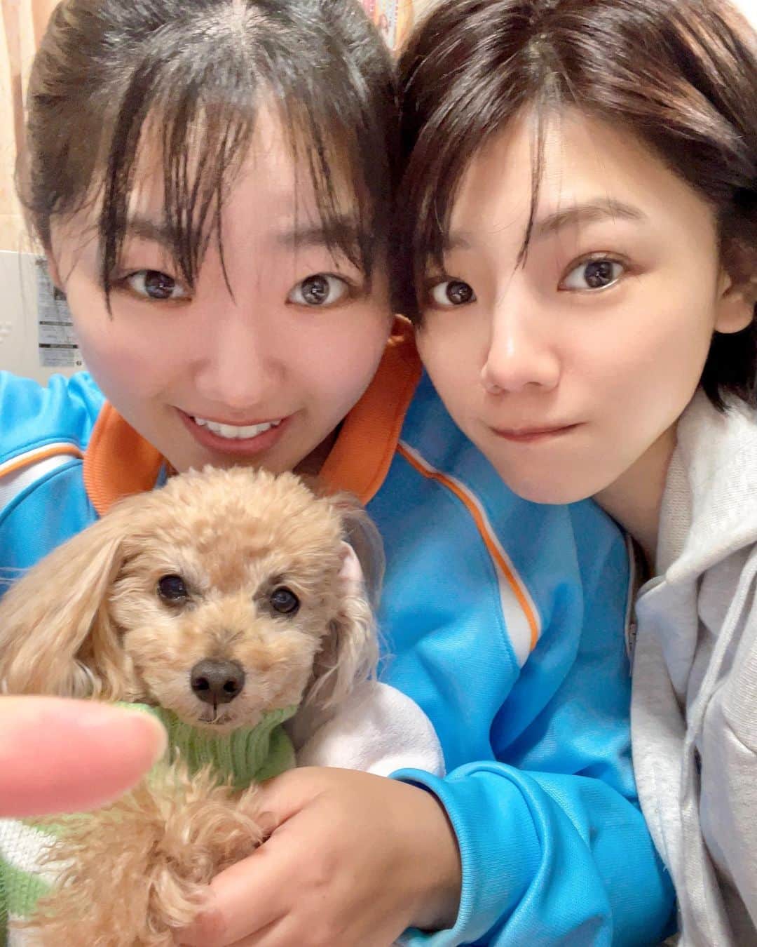 大川成美さんのインスタグラム写真 - (大川成美Instagram)「毎日ココア🐶 離れず一緒だったから、寂しいな。 ． #ココすけ」1月6日 ...