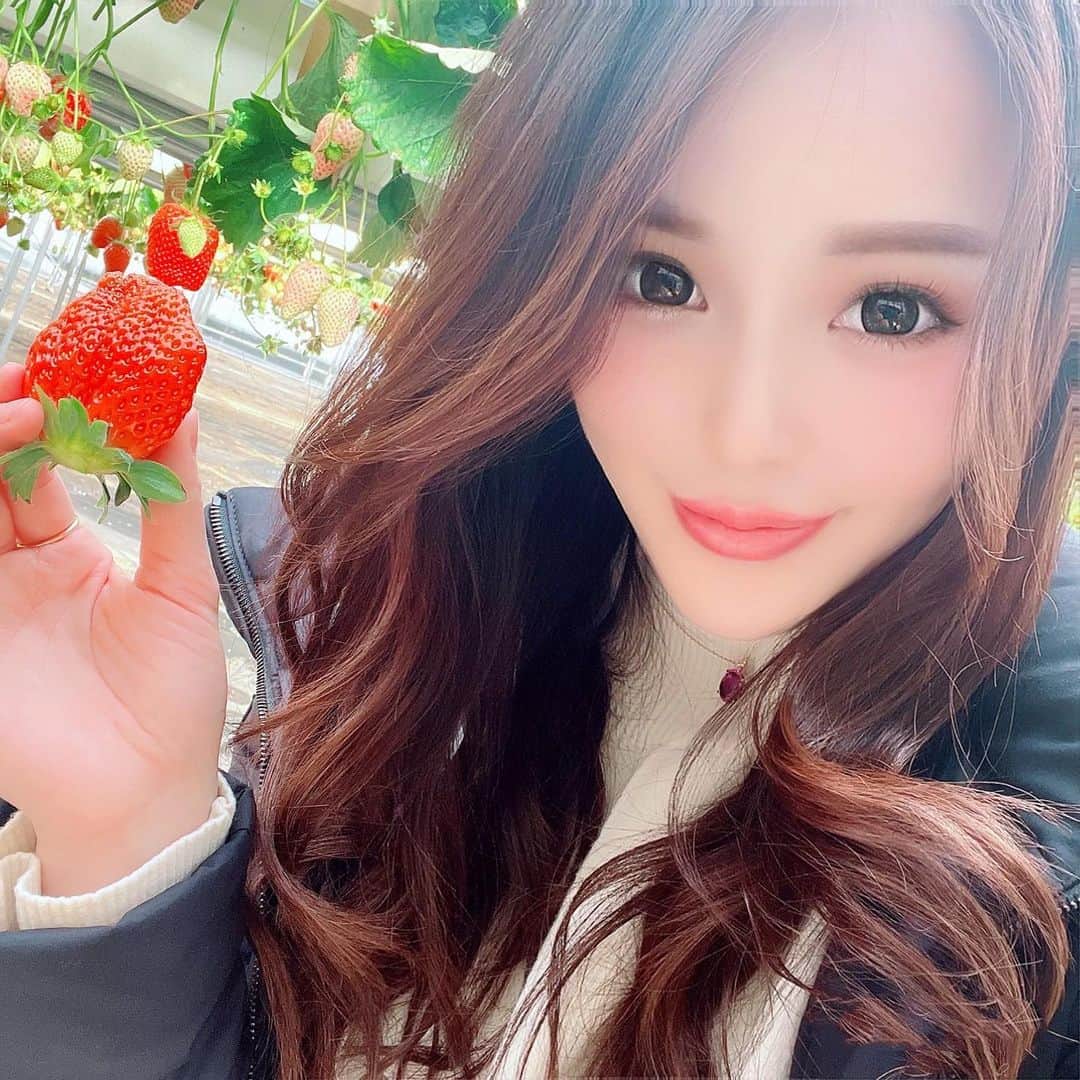 有沢りさ（南沙也香）さんのインスタグラム写真 有沢りさ（南沙也香）instagram 「 たまには顔だけのお写真も いちご狩りデビュー