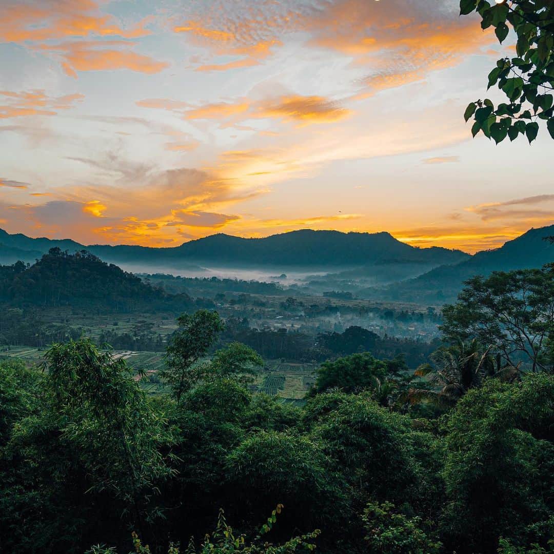 NICKY GILEさんのインスタグラム - (NICKY GILE@delbshoots)