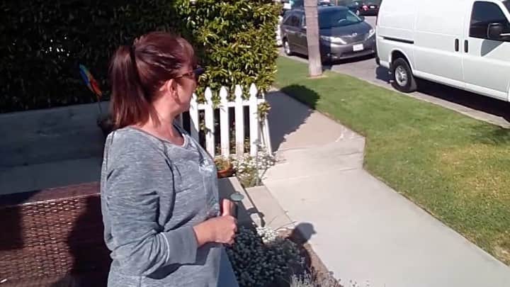 C. Lawrence Greavesさんのインスタグラム写真 - (C. Lawrence GreavesInstagram)「Today ...