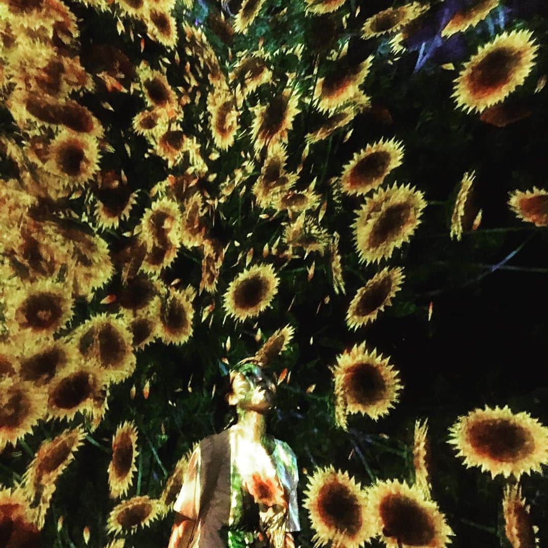 高岡早紀 さんのインスタグラム写真 - (高岡早紀 Instagram)「娘たちと”TEAM LAB” ヒマワリに溶け込んでる ...