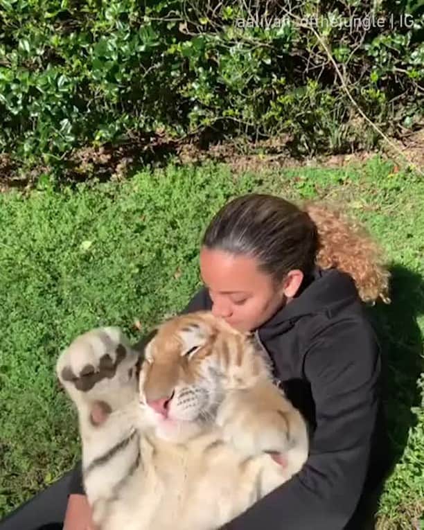 9GAGさんのインスタグラム動画 - (9GAGInstagram)「Everyone loves a belly rub⠀ 📹 @aaliyah_ofthejungle⠀ -⠀ # ...