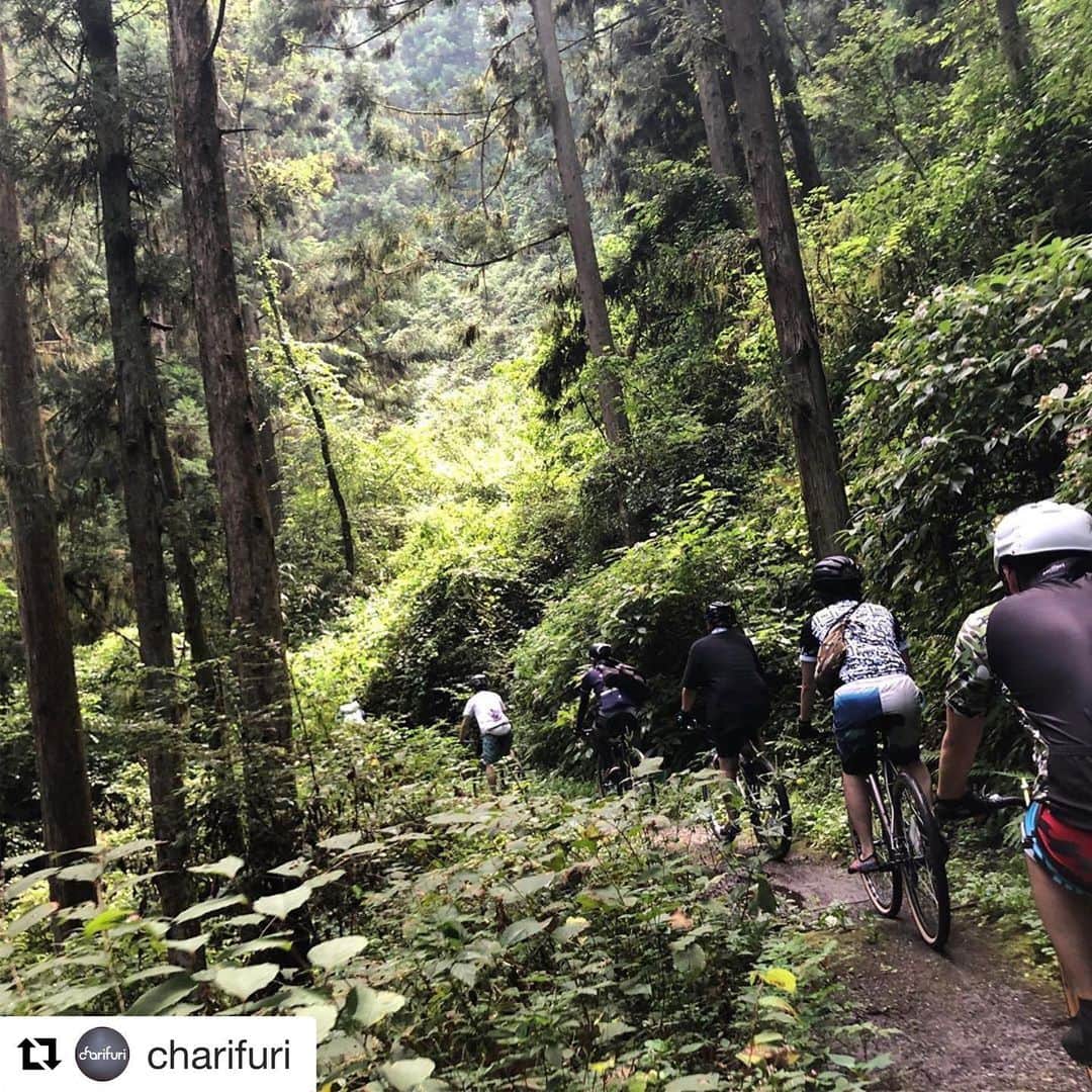 narifuri_japanさんのインスタグラム写真 - (narifuri_japanInstagram)「#Repost @charifuri with @get_repost ...