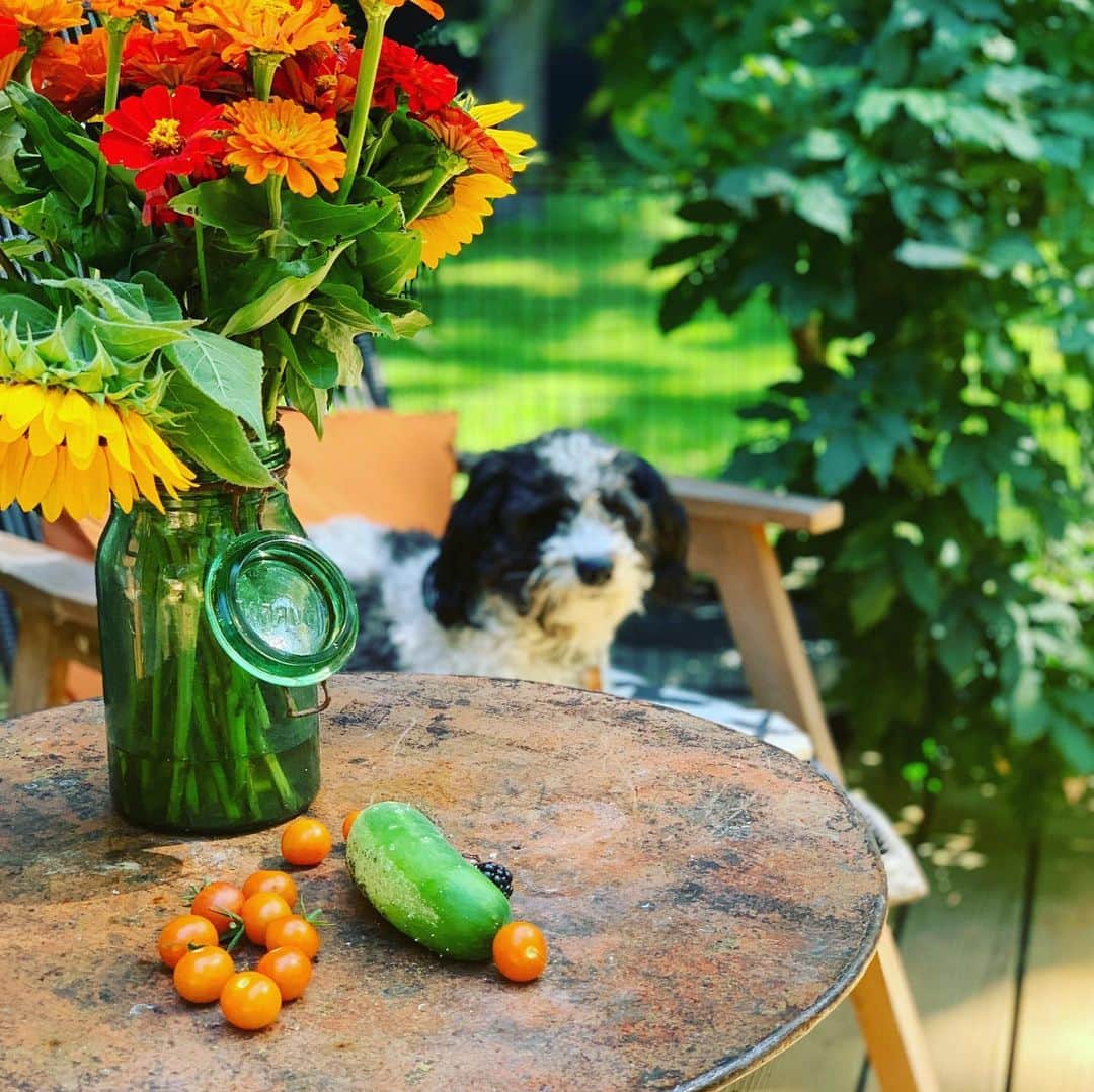 ジェニファー・エスポジートさんのインスタグラム写真 - (ジェニファー・エスポジートInstagram)「Goodbye summer. # ...