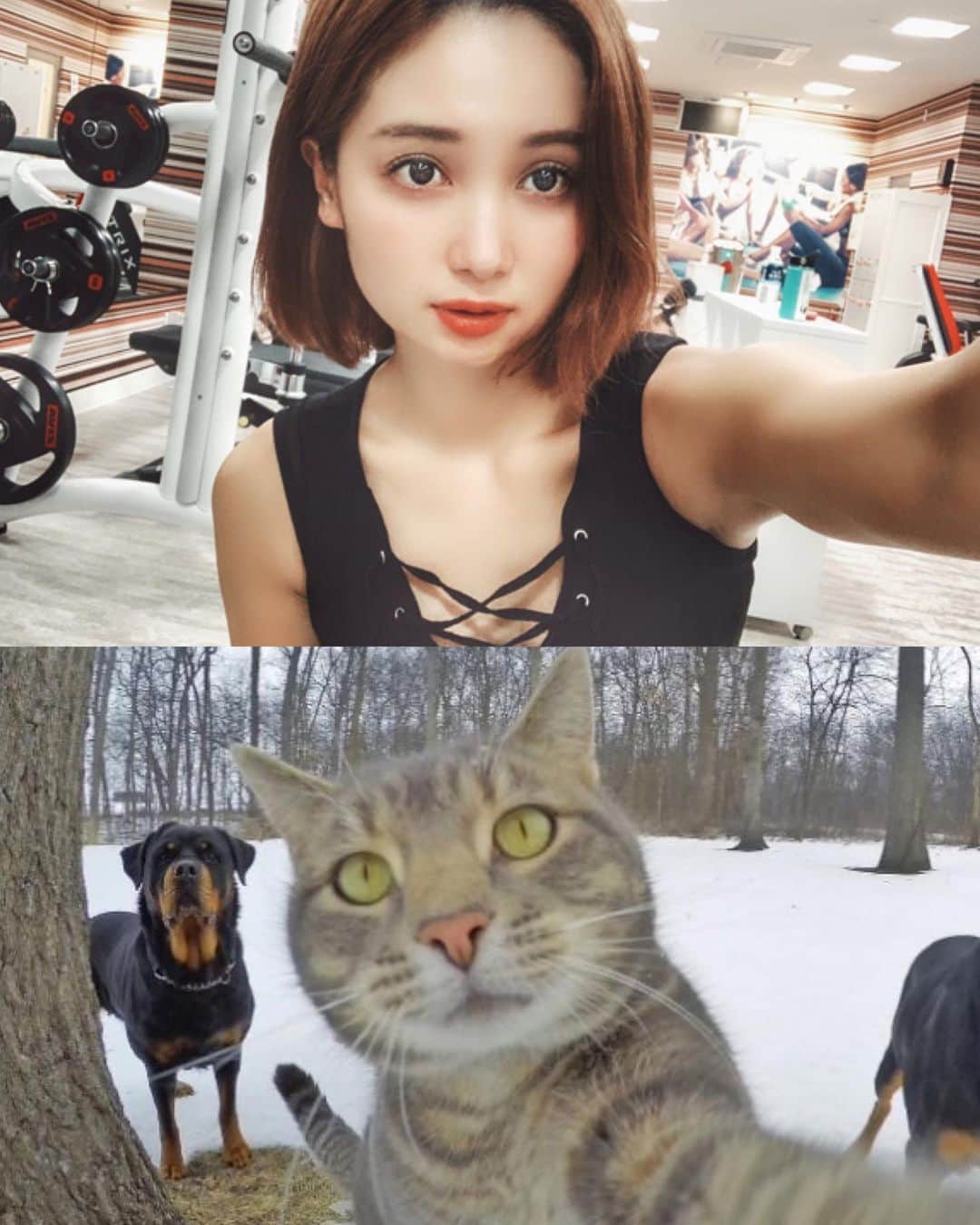 チアコマさんのインスタグラム写真 チアコマinstagram 「 完全一致🧝‍♀️ Joyfitアンバサダー