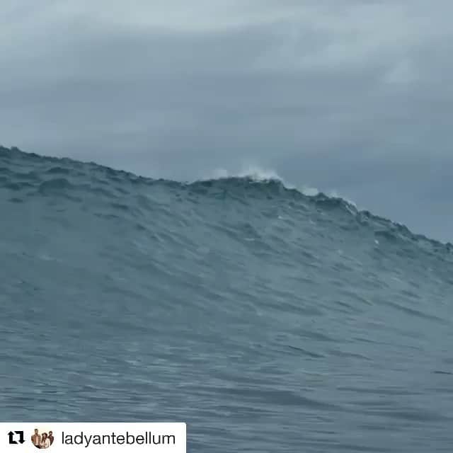 ヒラリー・スコットさんのインスタグラム動画 - (ヒラリー・スコットInstagram)「🌊」9月19日 8時30分 - hillaryscottla