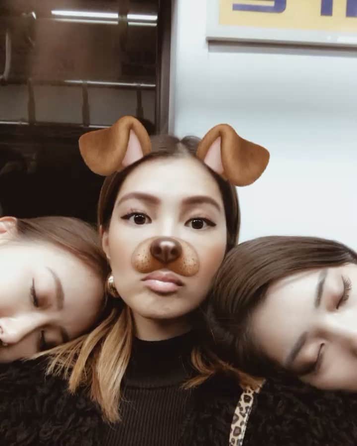 HARUEさんのインスタグラム動画 - (HARUEInstagram)「💤🐶💤 . 目的地に着いたら起こしまーす。」11月15日 16時21 ...