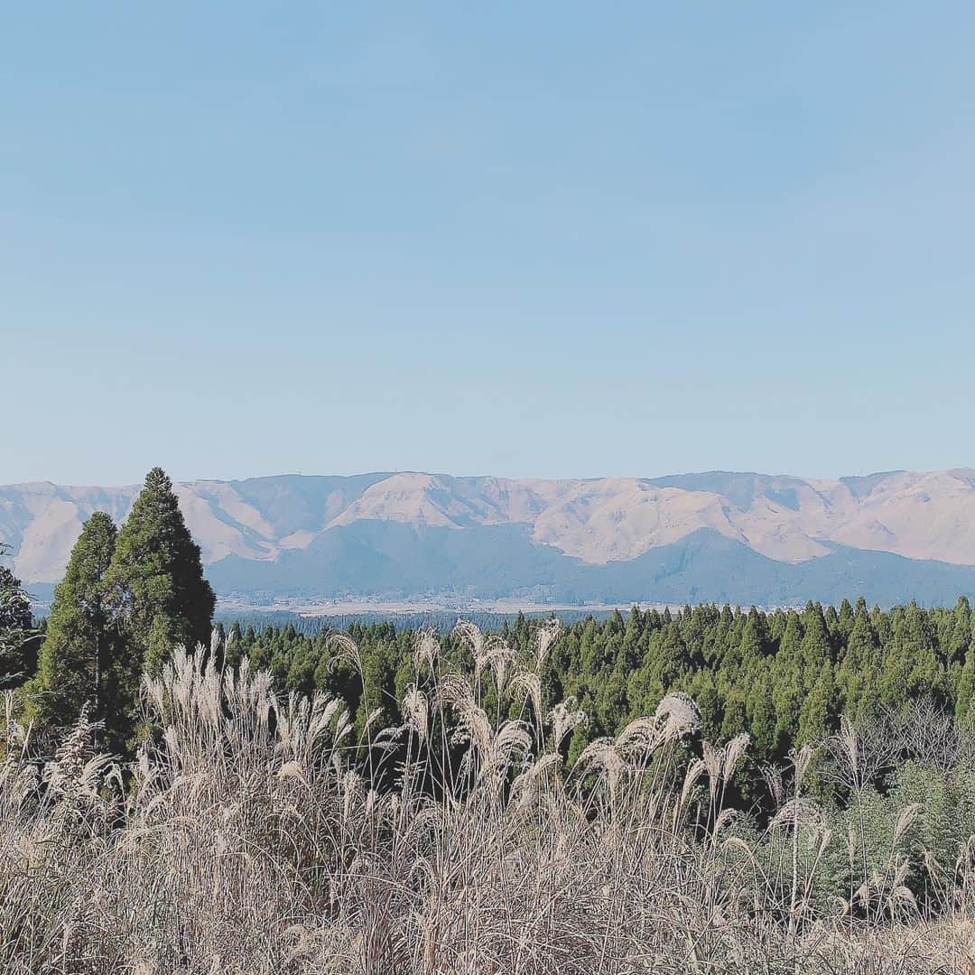 ERICAさんのインスタグラム写真 - (ERICAInstagram)「すこーしだけデジタルデトックス💦をしていたのですが、皆さんお元気 ...