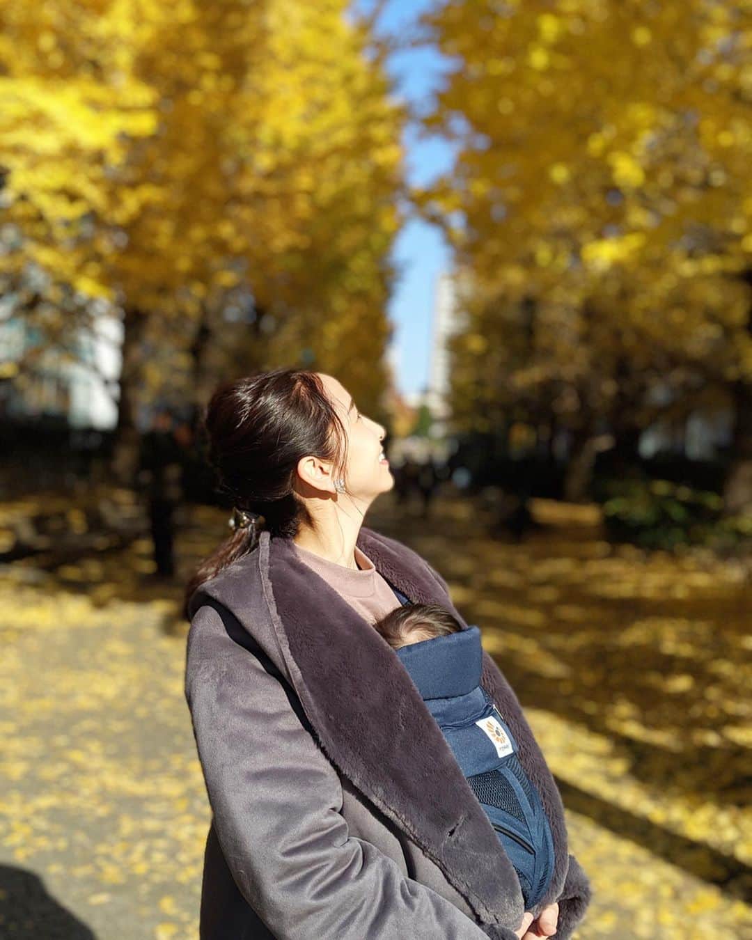小野恵美さんのインスタグラム写真 - (小野恵美Instagram)「日曜日の比較的暖かい昼間にお散歩。 イチョウが鮮やかに輝いていましたよ💛 ...