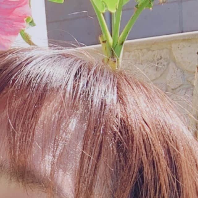 みひろさんのインスタグラム写真 - (みひろInstagram)11月18日 21時16分 - mihiro0519