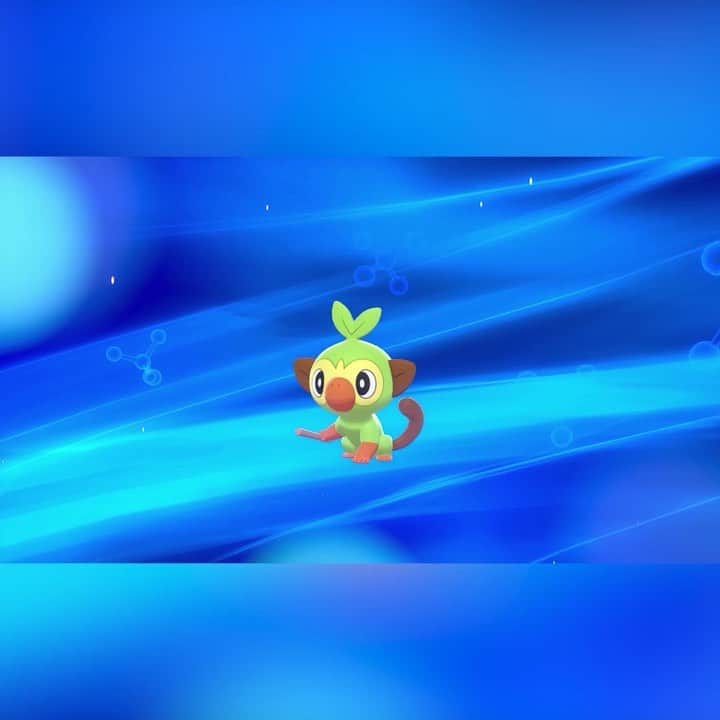 Pokémonさんのインスタグラム写真 - (PokémonInstagram)「Haven’t met the evolved forms ...