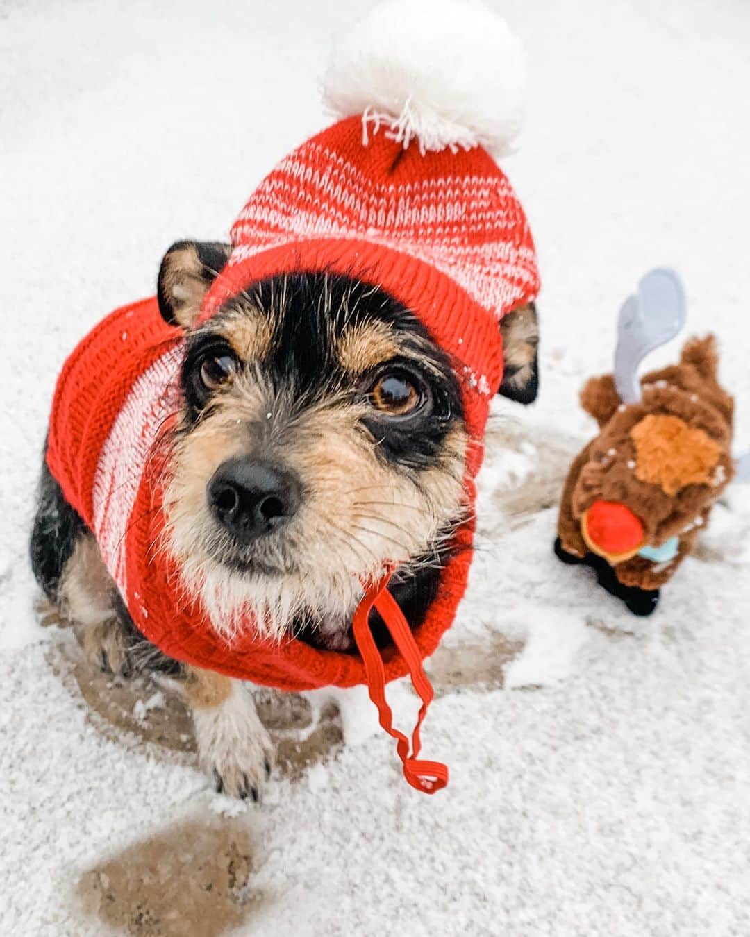 クリスティ・ルーカジアックさんのインスタグラム写真 - (クリスティ・ルーカジアックInstagram)「I used to make fun ...