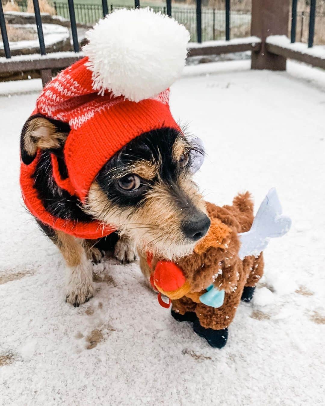 クリスティ・ルーカジアックさんのインスタグラム写真 - (クリスティ・ルーカジアックInstagram)「I used to make fun ...