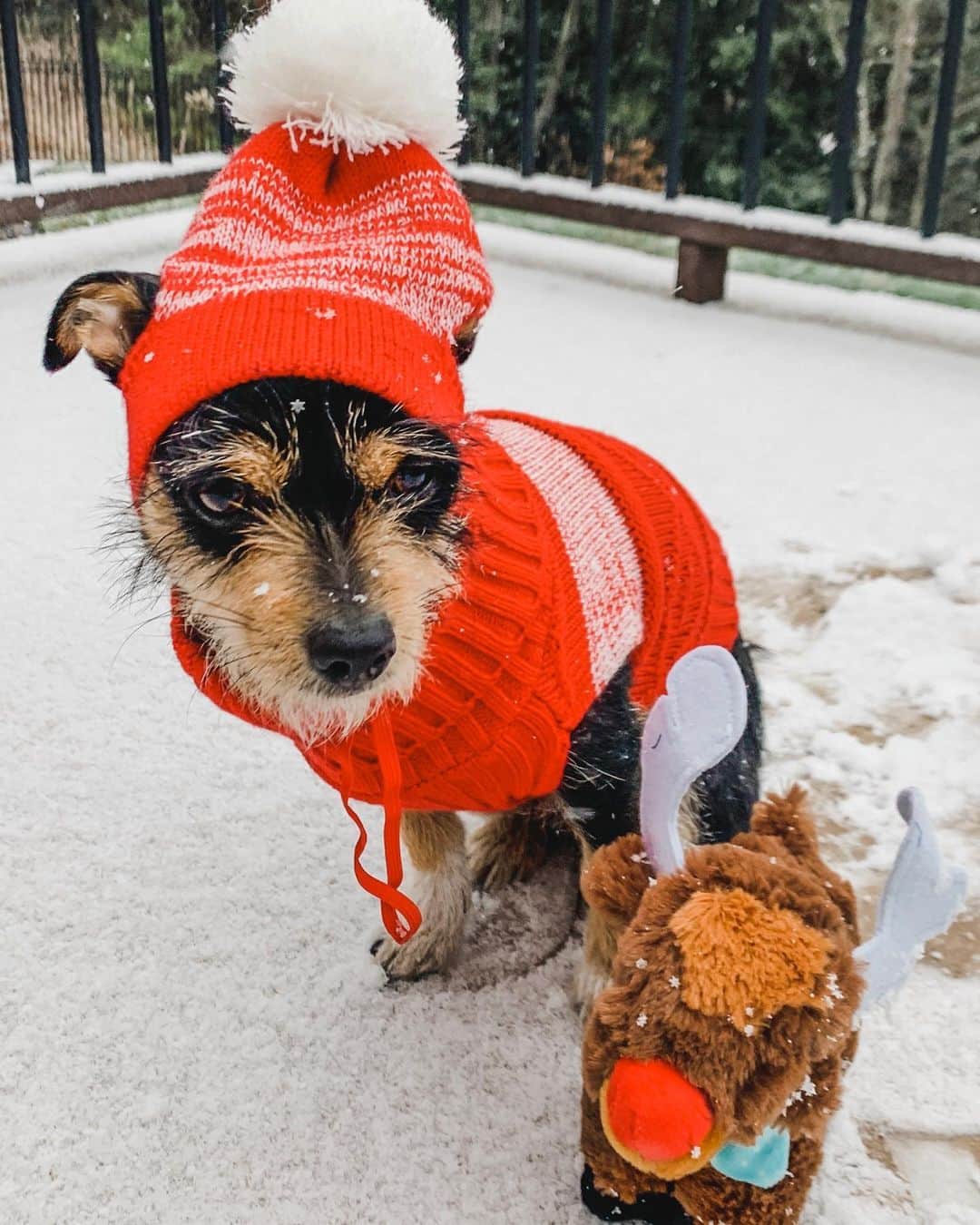 クリスティ・ルーカジアックさんのインスタグラム写真 - (クリスティ・ルーカジアックInstagram)「I used to make fun ...