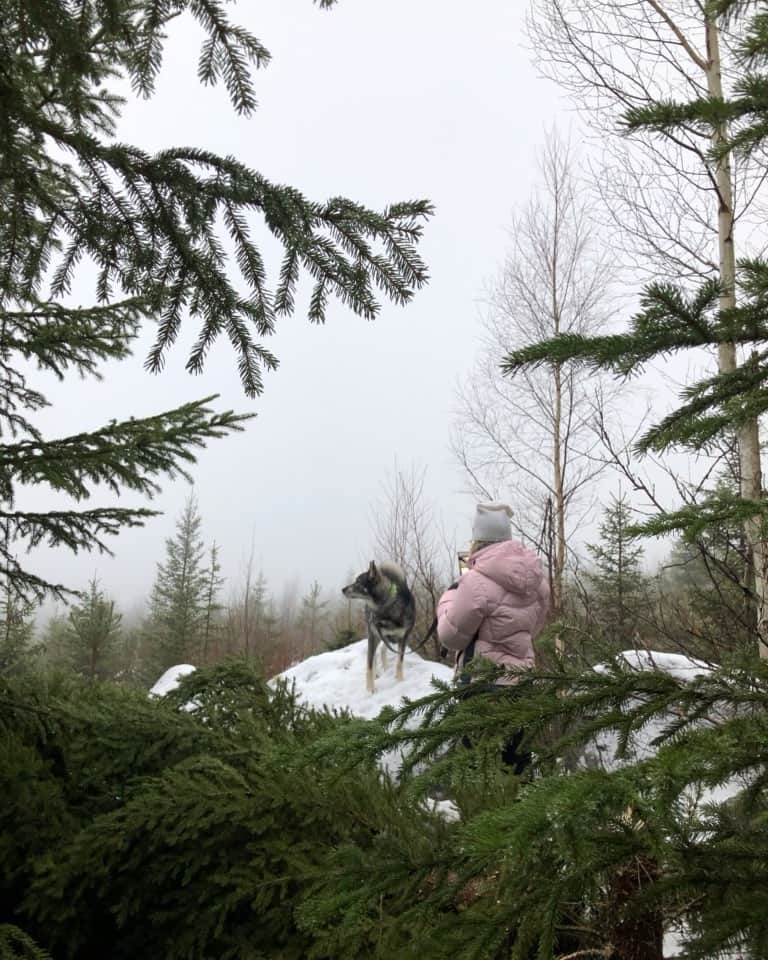 Pernilla Lindbergさんのインスタグラム写真 - (Pernilla LindbergInstagram)「It’s ...