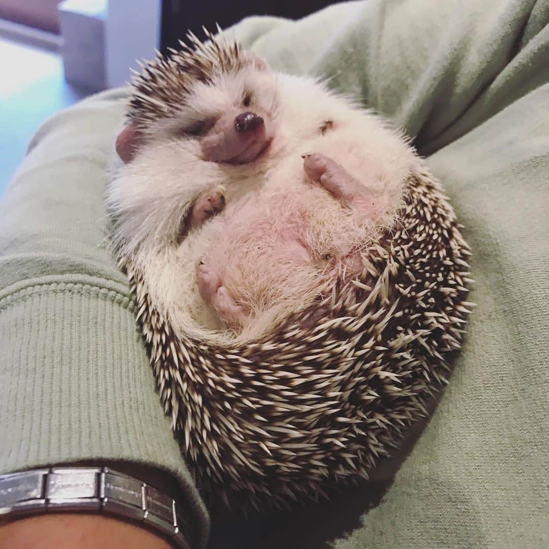 Baby Mさんのインスタグラム - (Baby M@real_babym)