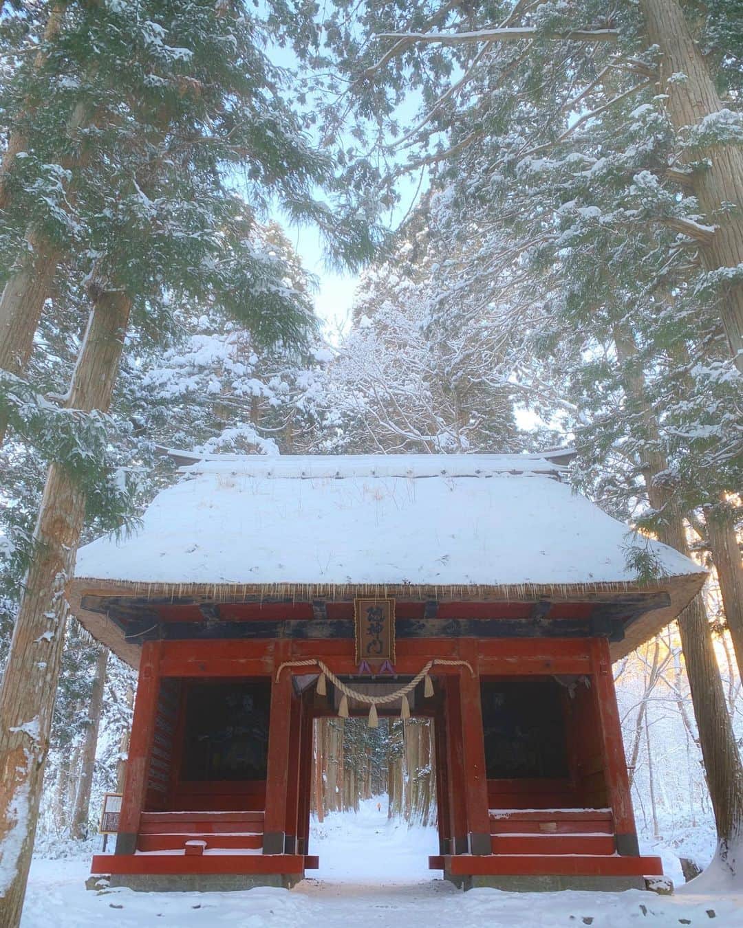 Japanさんのインスタグラム写真 Japaninstagram 「togakushi Shrine」12月29日 22時10分