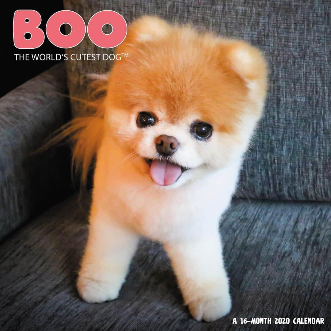 Buddy Boo Blueさんのインスタグラム写真 - (Buddy Boo BlueInstagram)「For those that ...