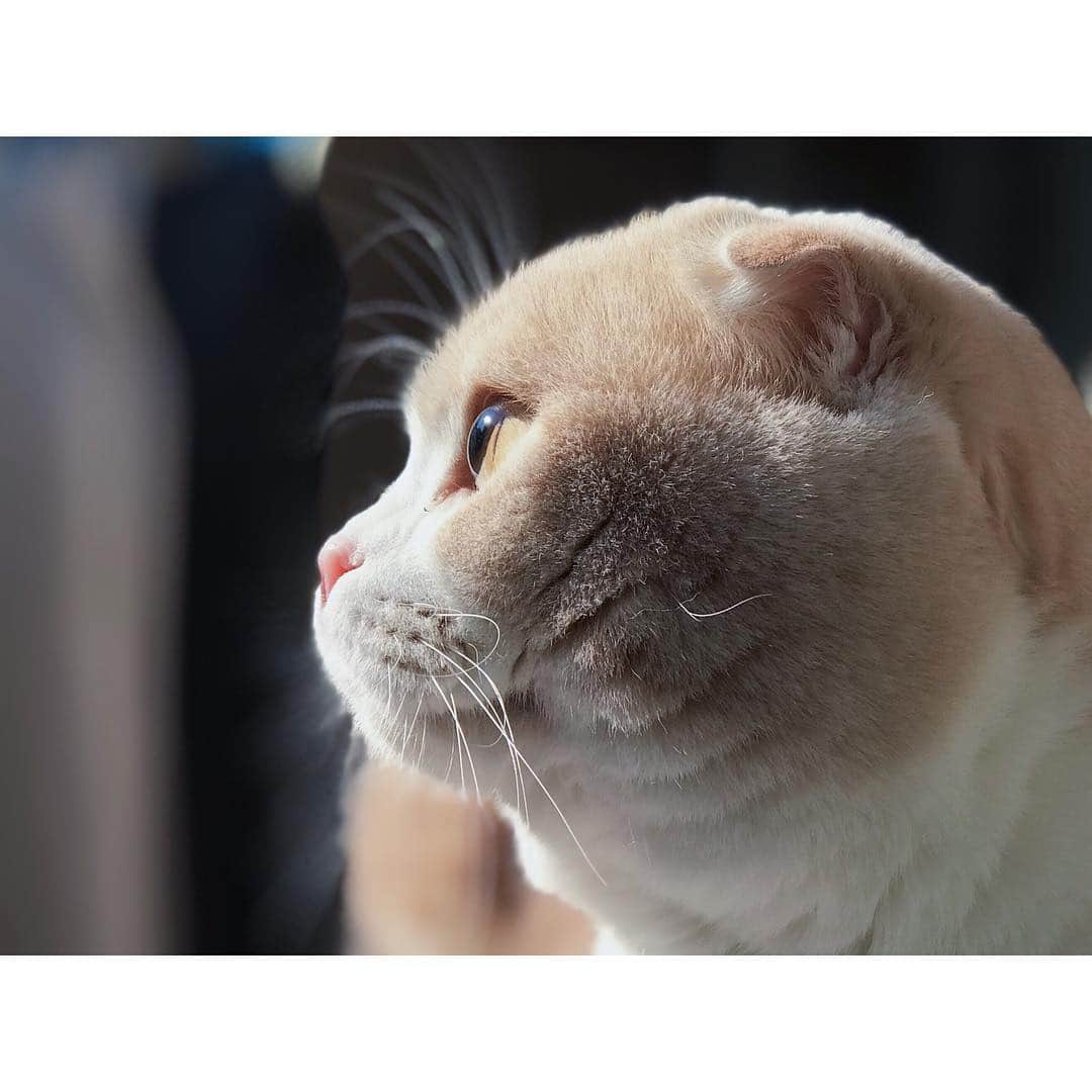 lemongeさんのインスタグラム - (lemonge@lemoooooonge)