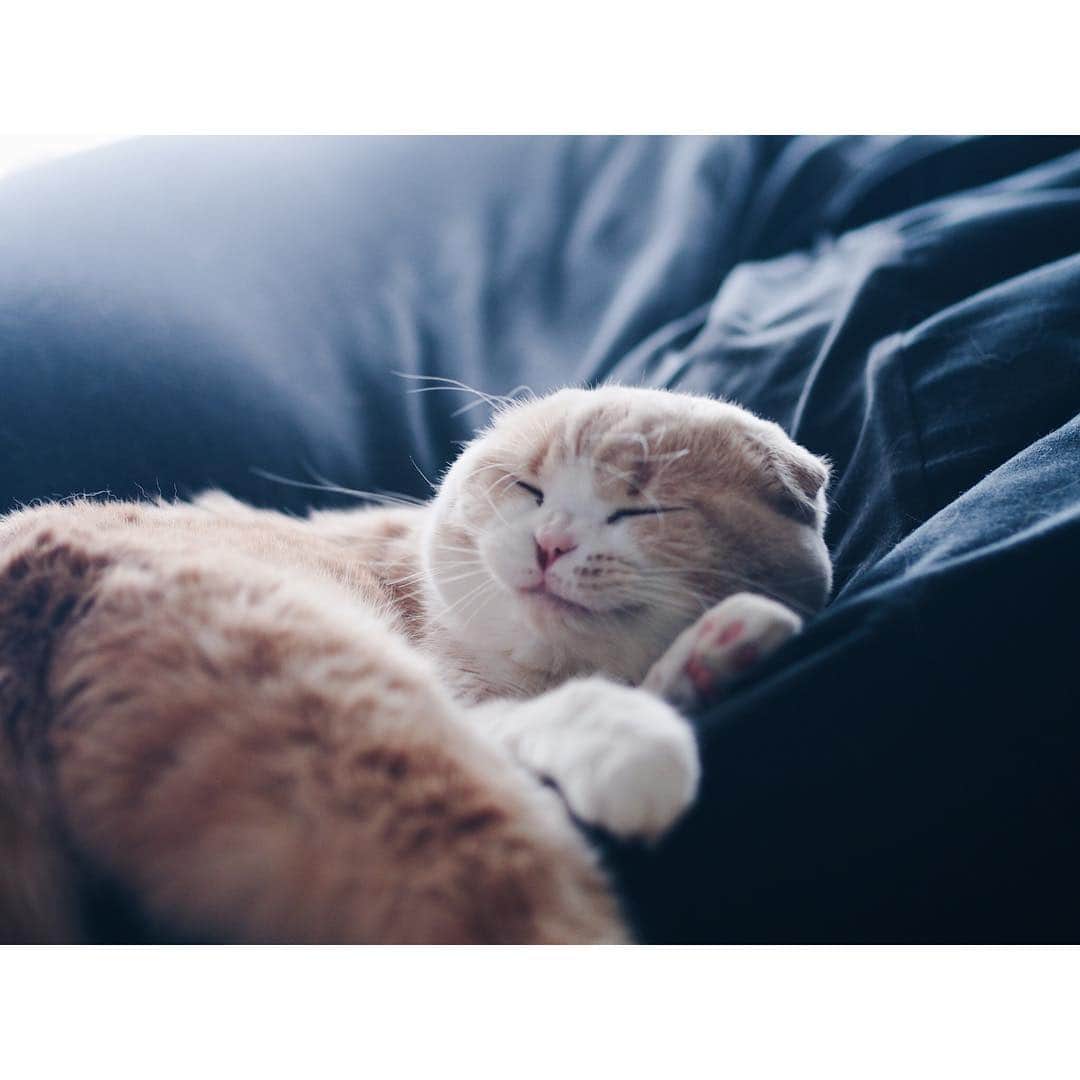 lemongeさんのインスタグラム - (lemonge@lemoooooonge)