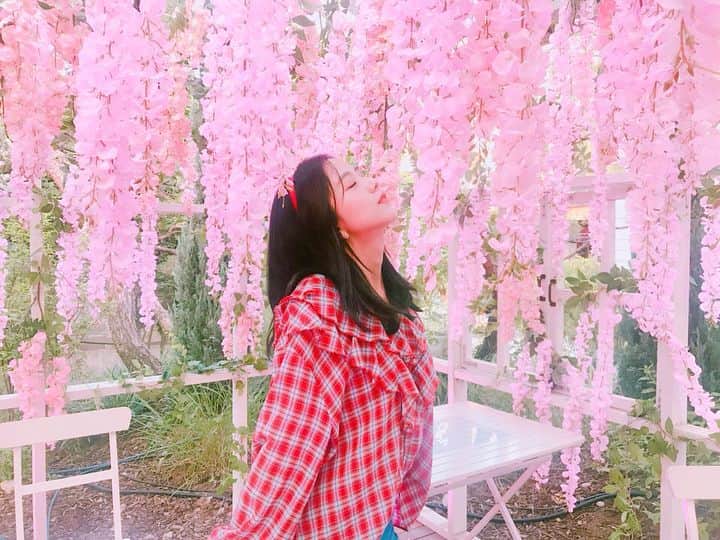 ジスさんのインスタグラム写真 ジスinstagram 「🌸have A Good Day🌸」6月20日 18時01分 Sooyaaa