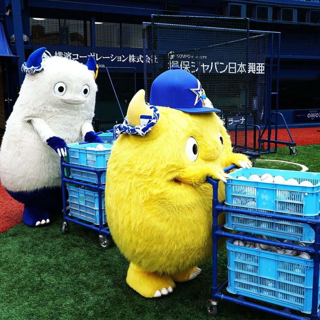 横浜DeNAベイスターズさんのインスタグラム写真 - (横浜DeNAベイスターズInstagram)「VICTORY☆STREETのステージから戻って来たバート&チャピー。球場に戻ると、休む間 ...