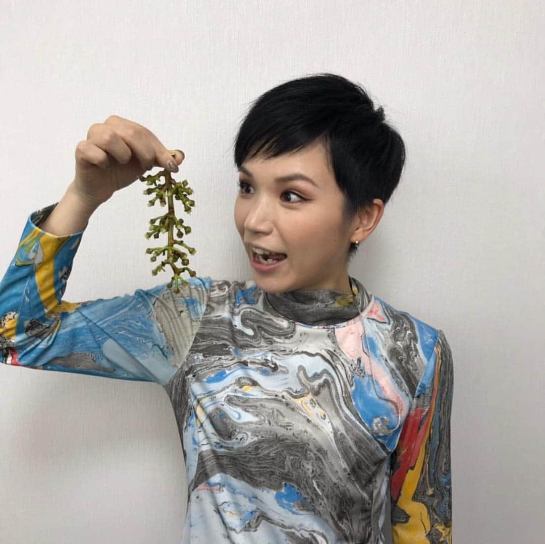 Superflyさんのインスタグラム写真 - (SuperflyInstagram)「Mステありがとうございました。 マスカット食べましたっ！」10月19日 23時42分 - superfly ...