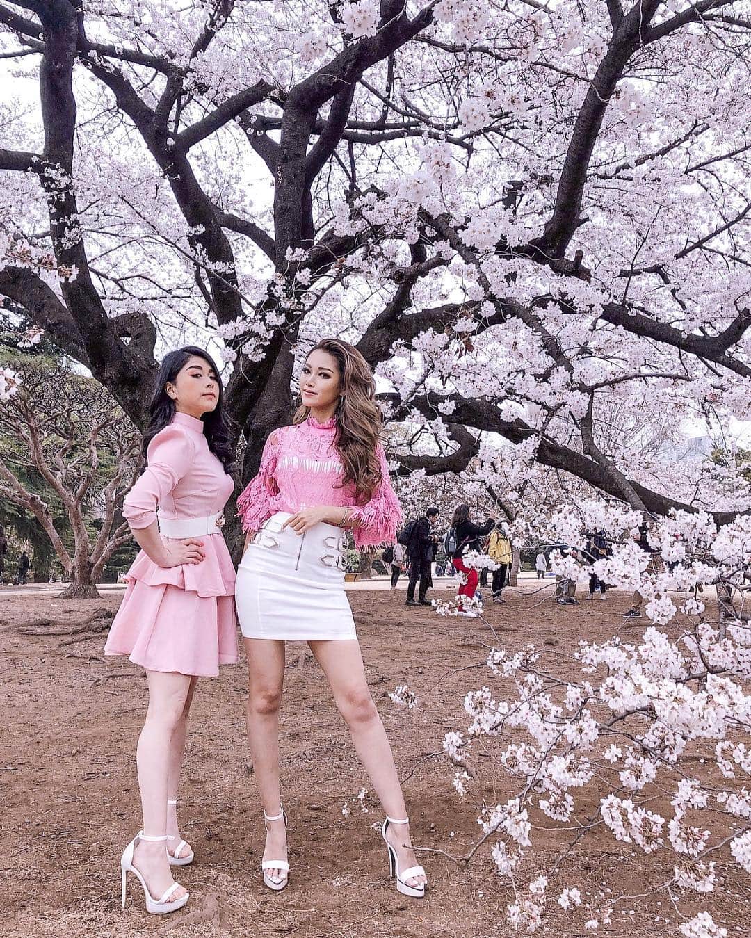 AYAMEさんのインスタグラム写真 - (AYAMEInstagram)「#bff#sis#sis#twinspinkwhite#pink# ...