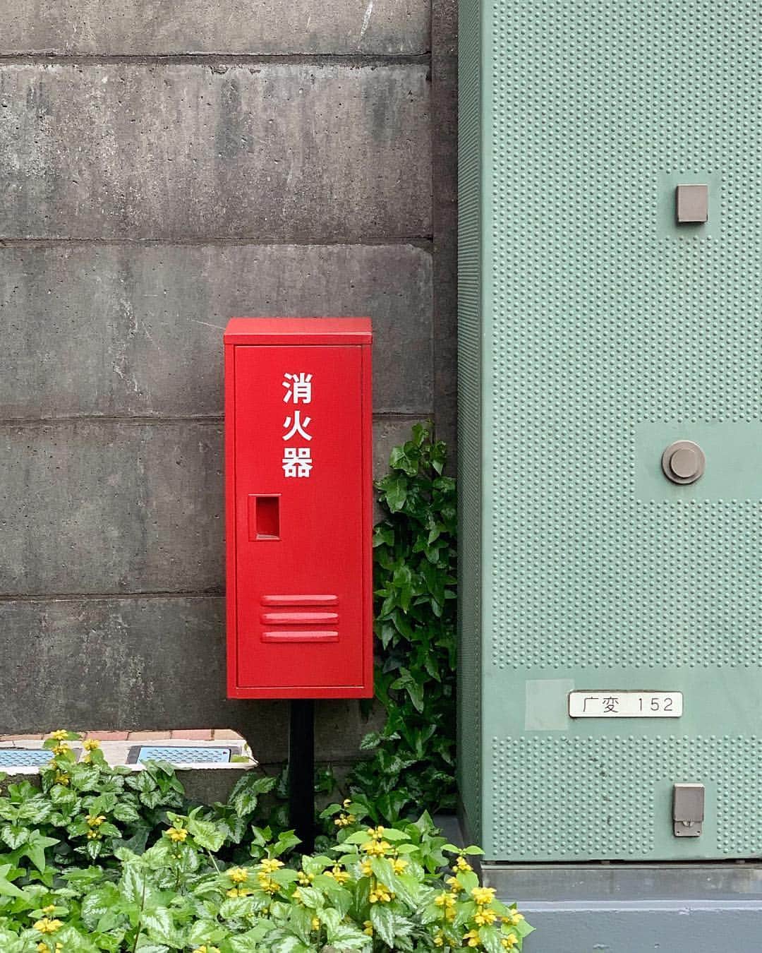 Reed Reederさんのインスタグラム - (Reed Reeder@reedreeder)