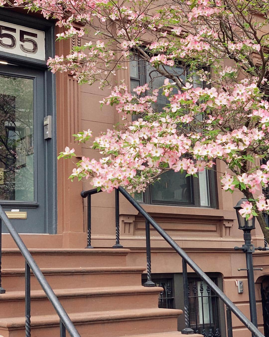 Reed Reederさんのインスタグラム - (Reed Reeder@reedreeder)