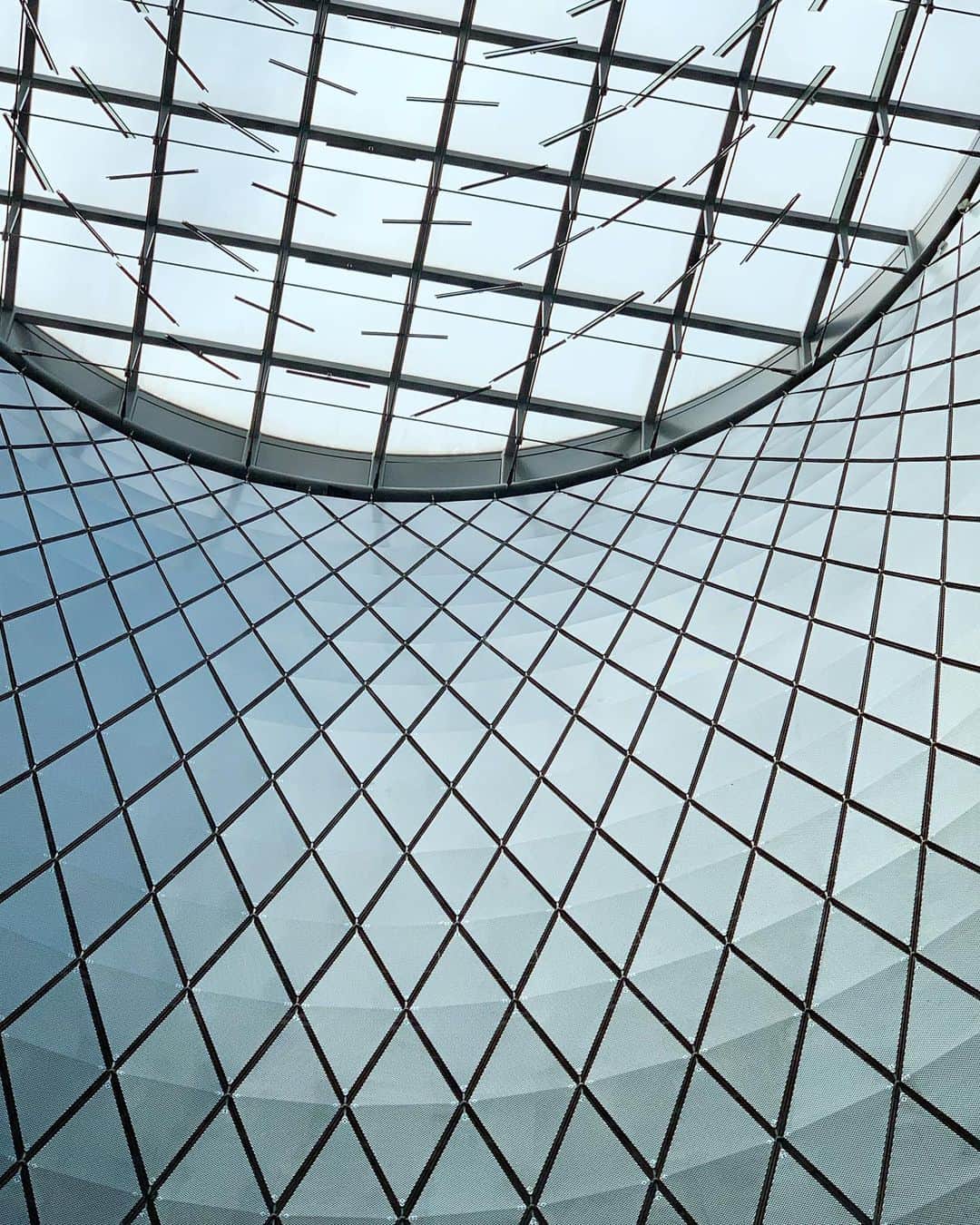 Reed Reederさんのインスタグラム - (Reed Reeder@reedreeder)