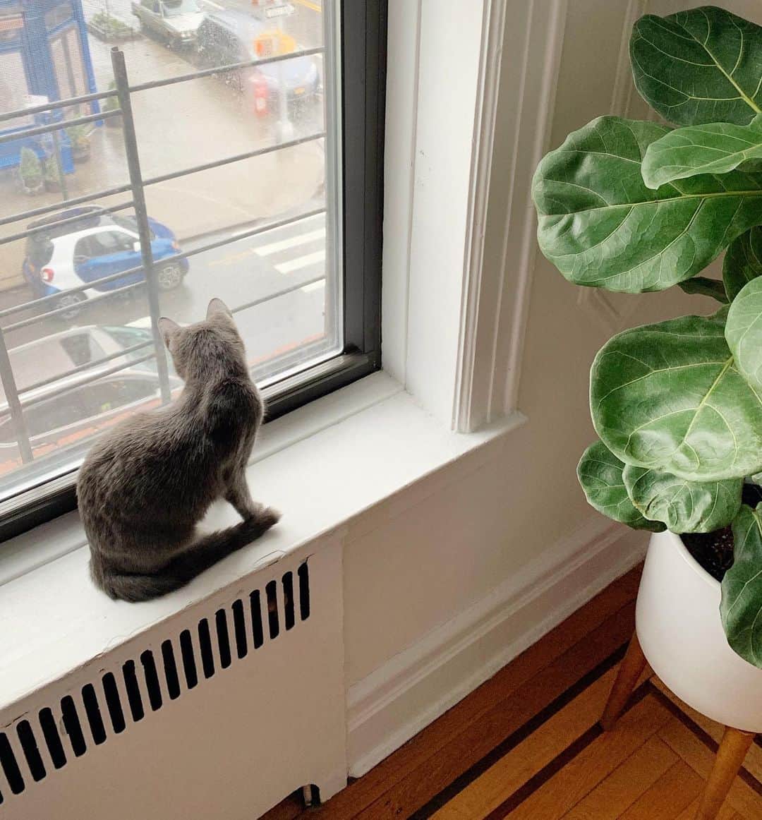 Reed Reederさんのインスタグラム - (Reed Reeder@reedreeder)