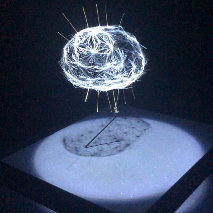 佐々木萌さんのインスタグラム動画 - (佐々木萌Instagram)「🦠 #文化庁メディア芸術祭」6月17日 14時53分 - skmoeee