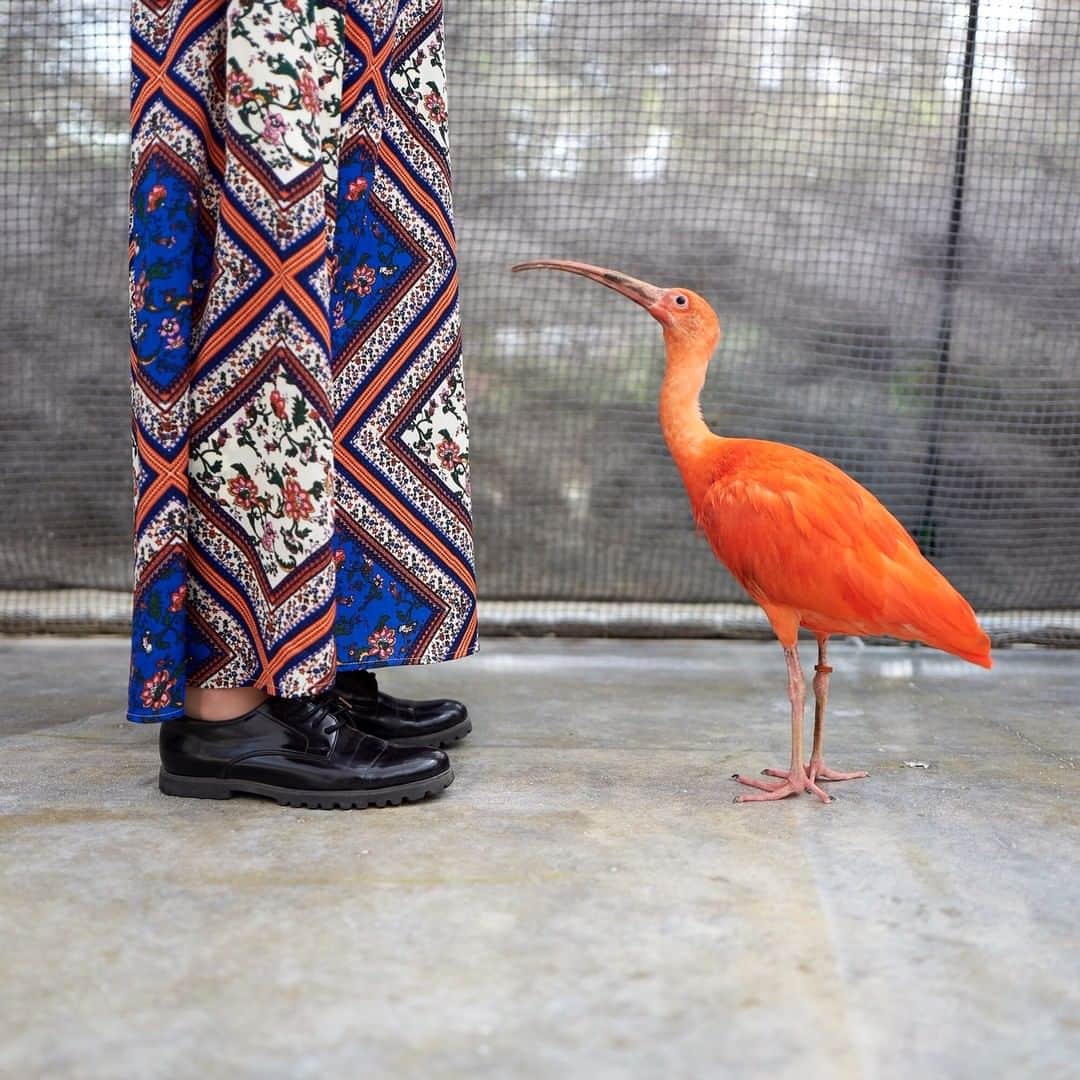 ライカさんのインスタグラム写真 - (ライカInstagram)「For the past year Tokyo-based ...